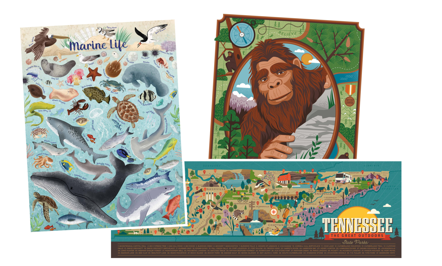 Home - True South Puzzle Co.